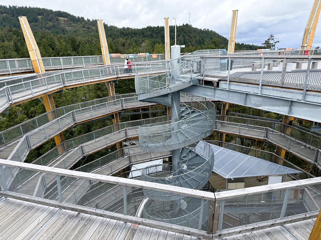 Victoria’s Best in 6 Hours: Malahat Skywalk, Hatley Castle & More ...